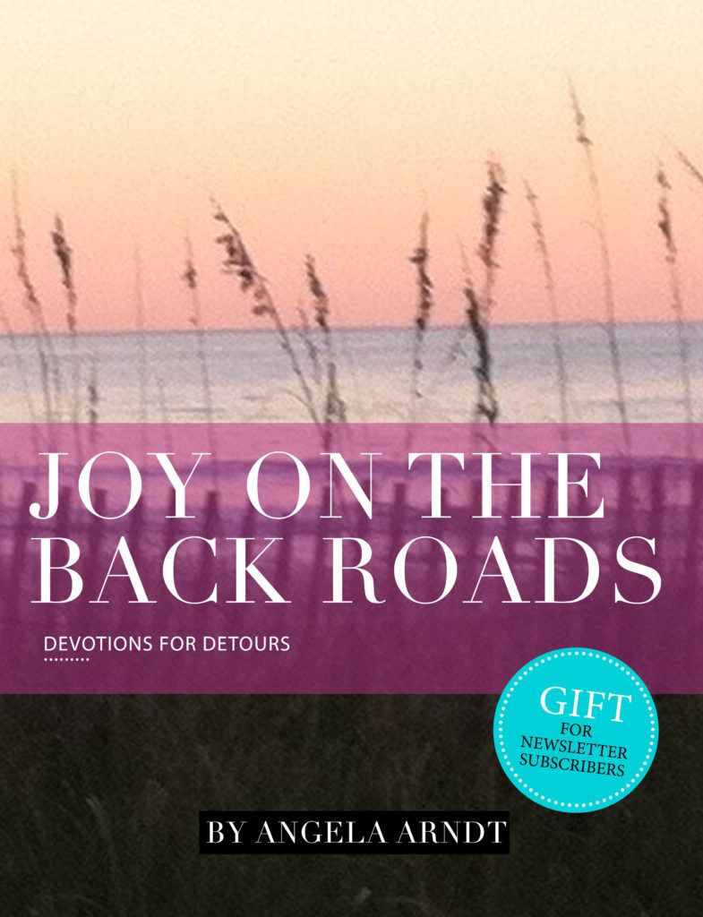 The Writer Behind the Words — Angela Arndt | The Engrafted Word