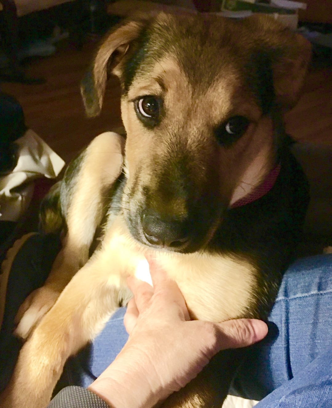 The Writer Behind the Words — Angela Arndt | The Engrafted Word